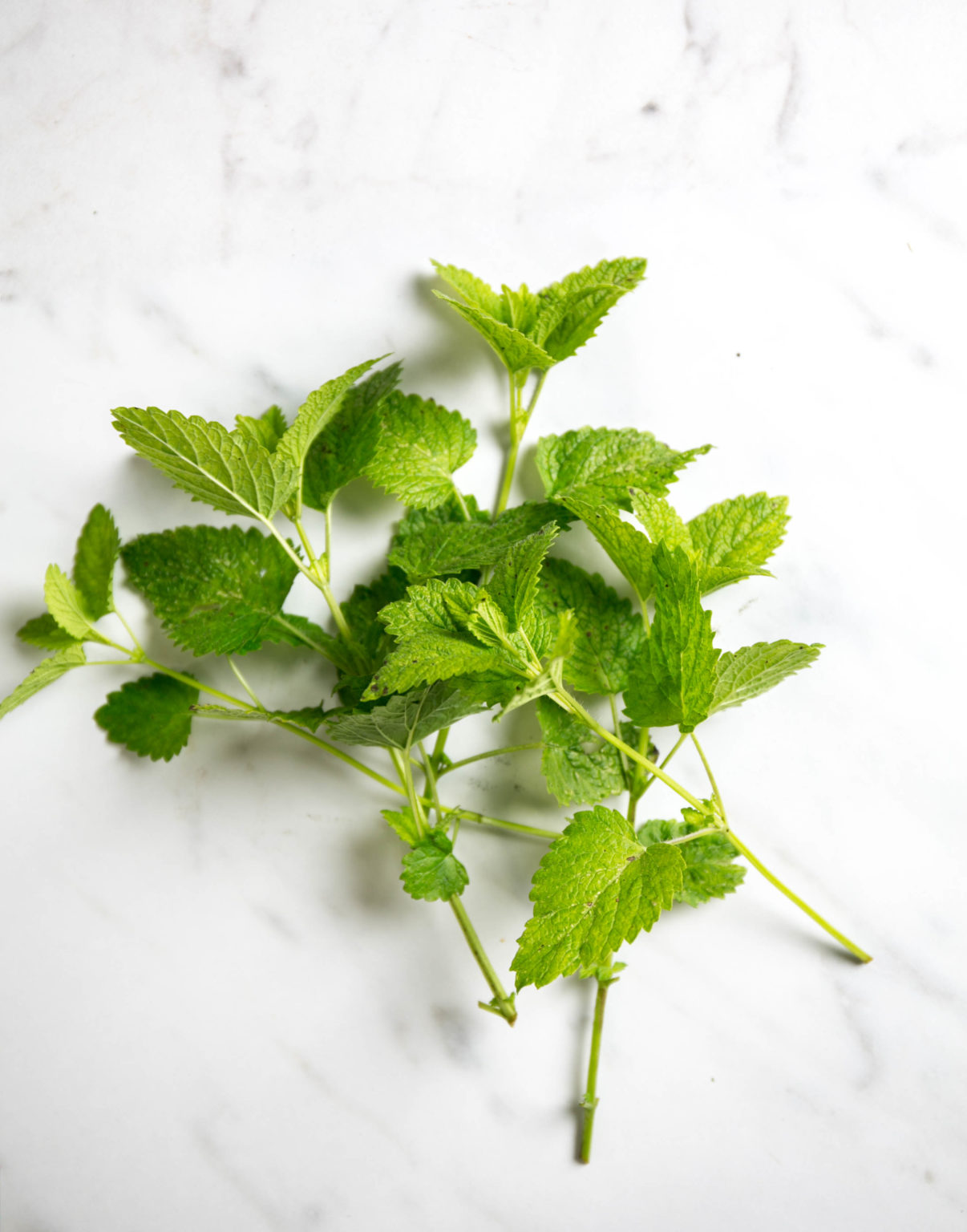 Lemon Balm Roasted Chicken (paleo) - Love, Chef Laura